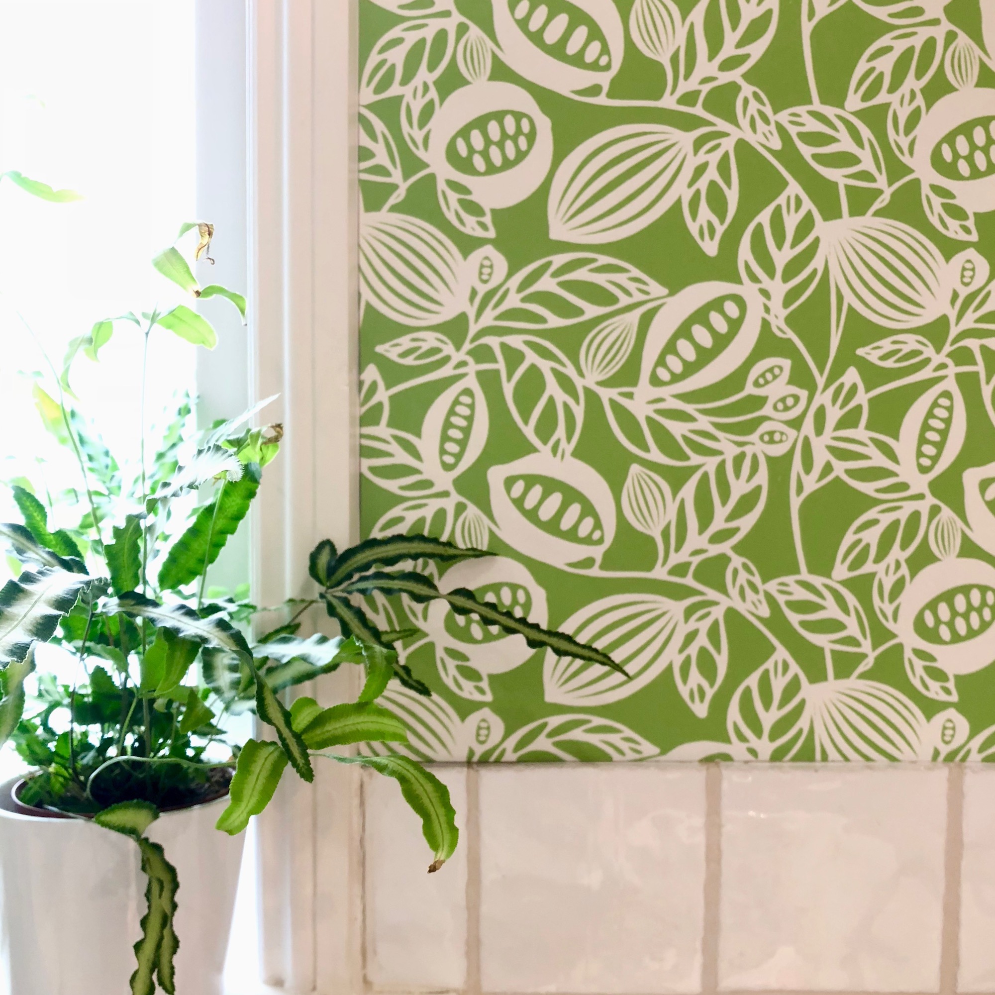 Wild Pods Wallpaper | Fiona Howard Wallpapers