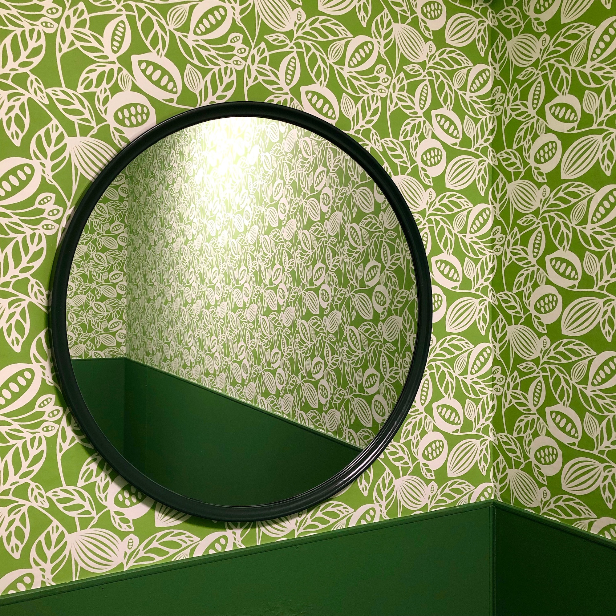 Wild Pods Wallpaper | Fiona Howard Wallpapers