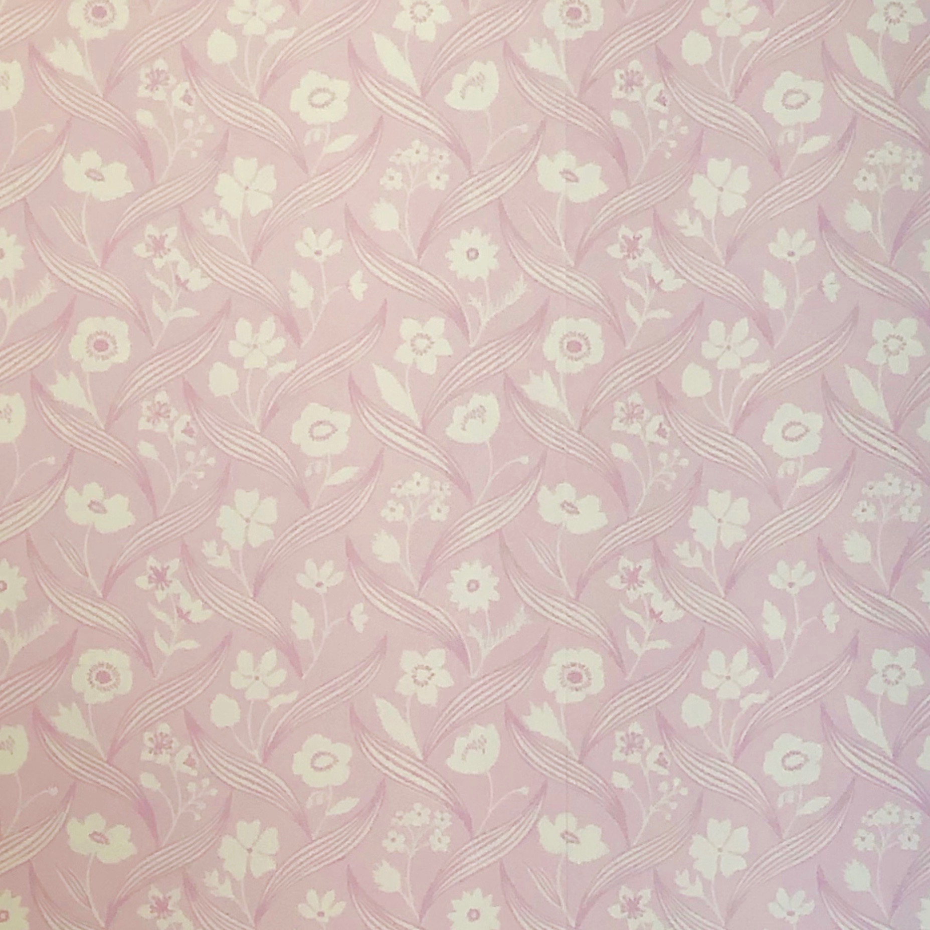 Imogen Wallpaper | Rose | Fiona Howard