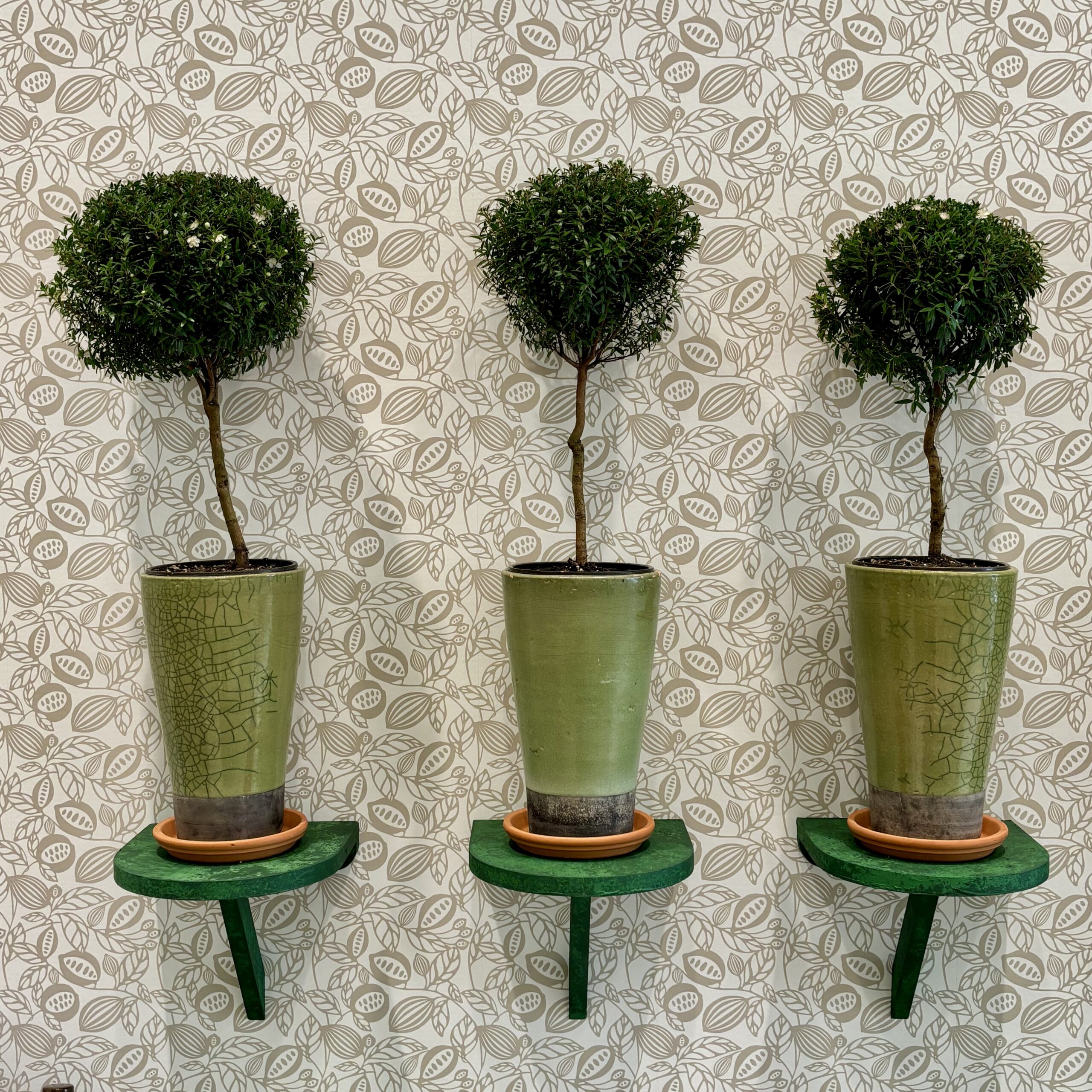 Wild Pods Wallpaper | Stone | Fiona Howard