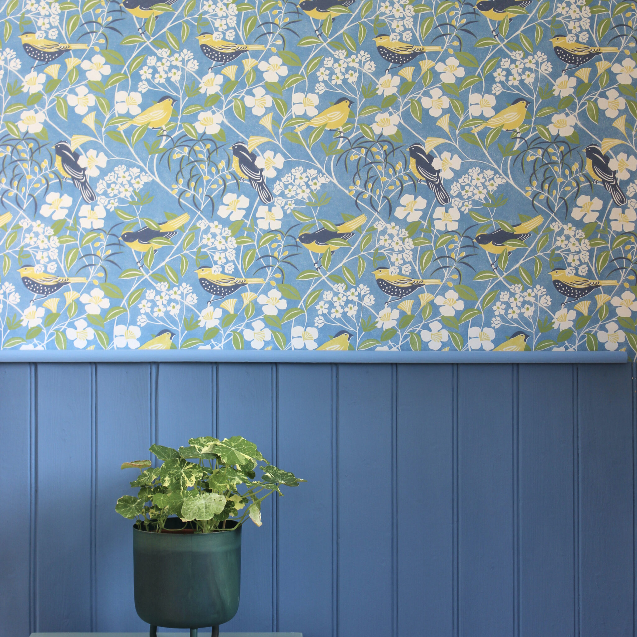 Designer & Luxury Wallpapers | All Ranges by Fiona Howard