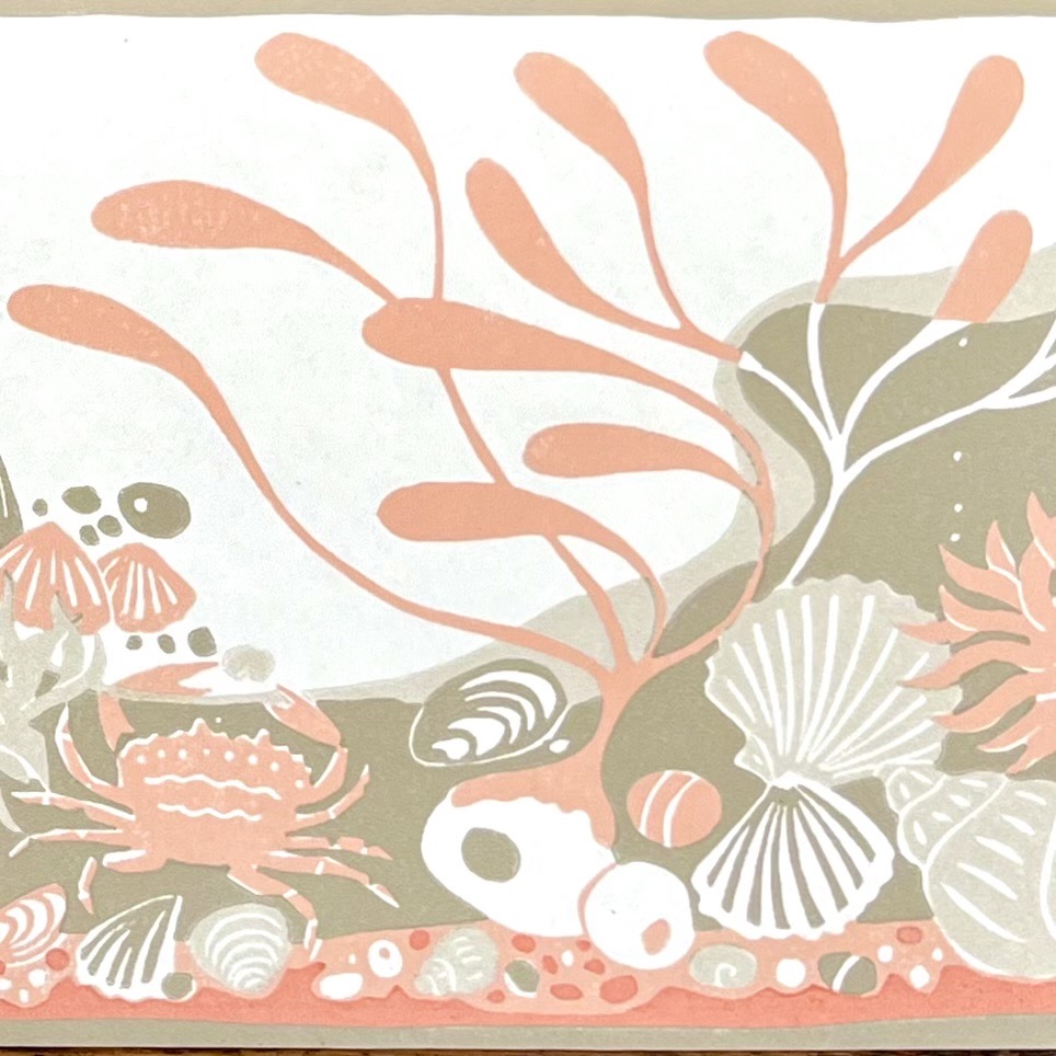 Rockpools Border | Shell | Fiona Howard