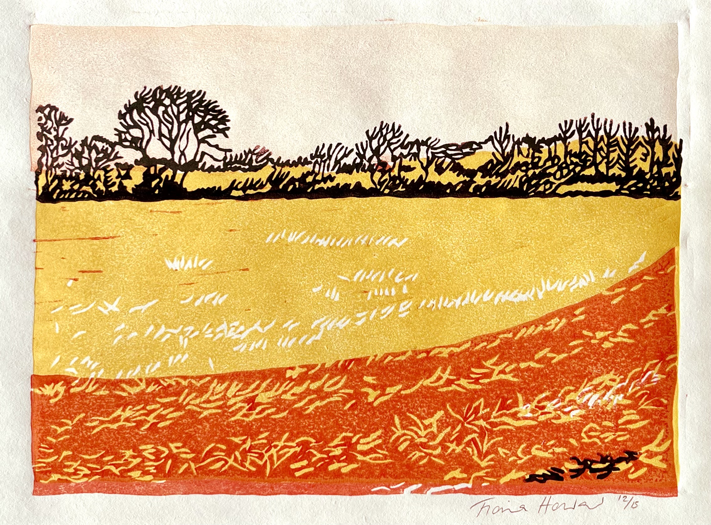 Across the fields | Fiona Howard Wallpapers