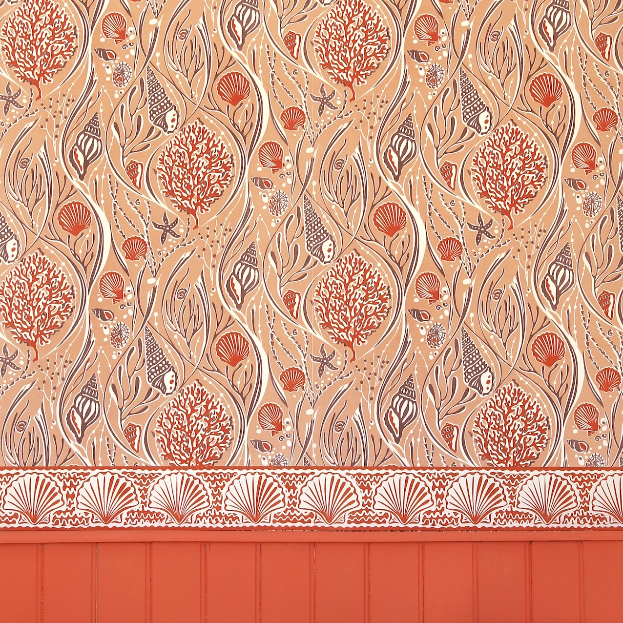 Shells Border / Terracotta | Fiona Howard